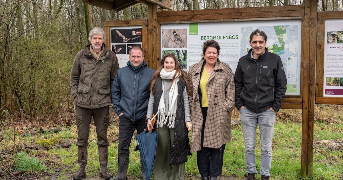 Vrijwilligers krijgen nieuwe kans voor boomplantactie aan Bergmolenbos ...