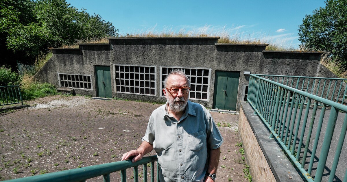 Lieven Stubbe (Groen) roept op tot actie: “Iepers erfgoed raakt steeds ...