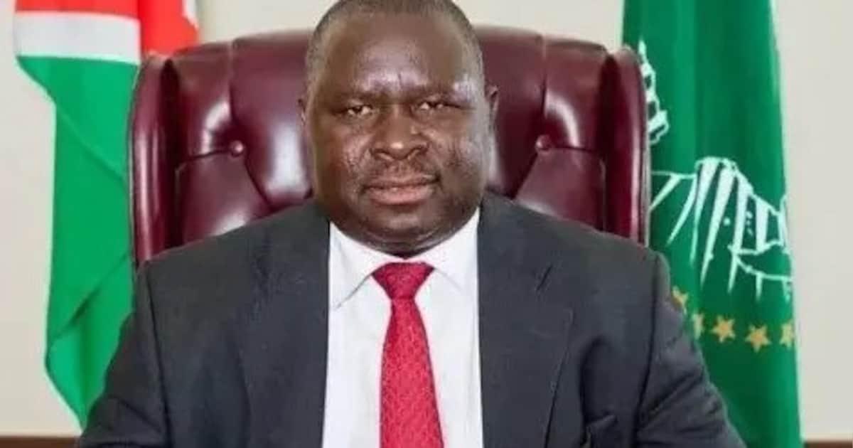 Namibische politicus Adolf Hitler opnieuw favoriet bij regionale ...