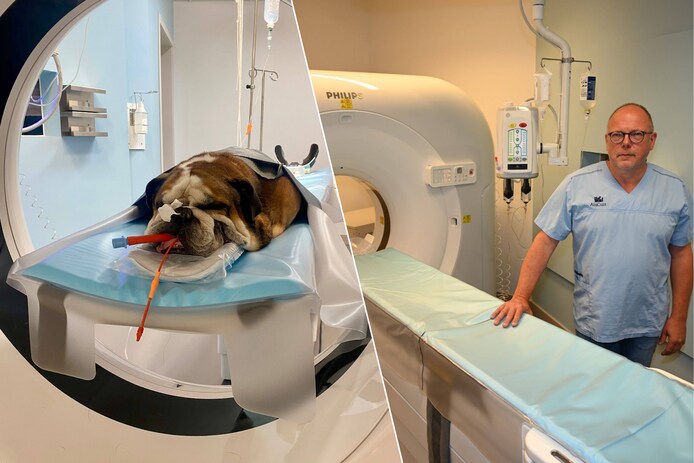 In deze dierenkliniek scannen ze in 10 seconden pootje van je hond ...