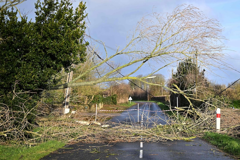 Regen maakt plaats voor zon en opklaringen: vrij zacht weekend met ...