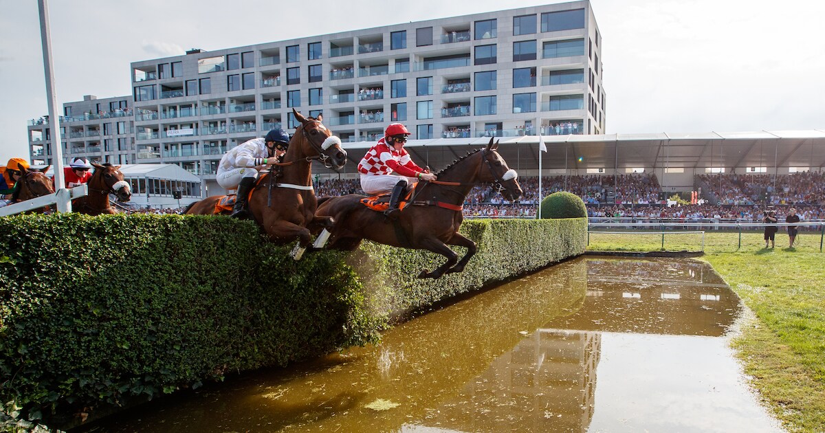 Waregem Koerse compleet afgelast: geen paardenkoersen op 1 september ...