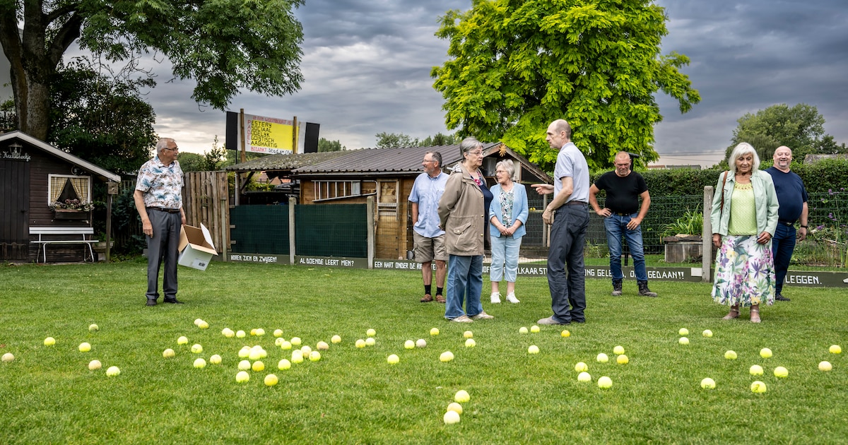 Ook provincie weigert vergunning voor padelterreinen en overkapping bij KAVD Tennis en Padel ...