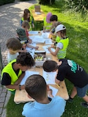 Tachtig Lintse leerlingen veranderen gemeentepark in bruisende ...