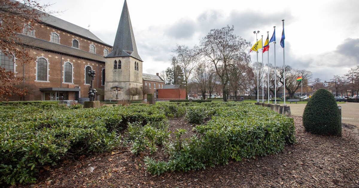 Prijzen voor huizen in Zonhoven stijgen, appartementen worden goedkoper | Zonhoven | HLN.be