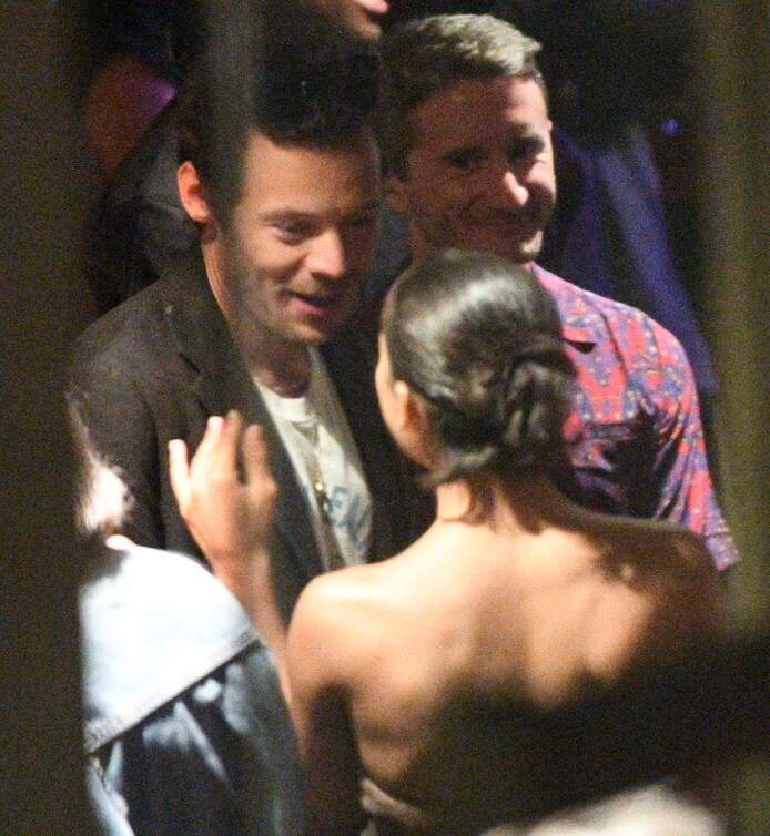 Zomerflirt mondt uit in serieuze relatie: “Harry Styles wil toekomst ...