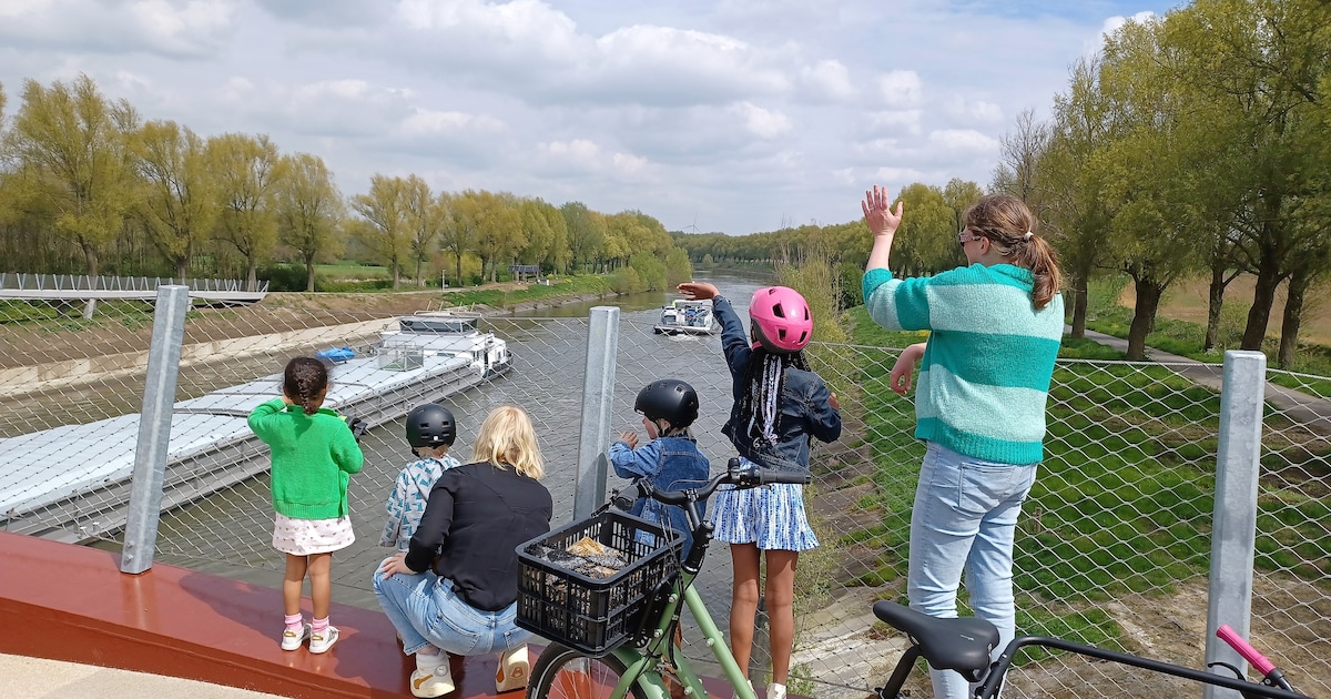 Stad organiseert Zomerzoektocht | Waregem | HLN.be