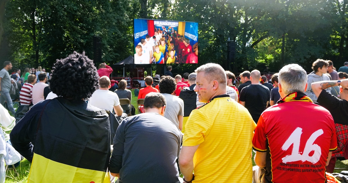 In Den Bosuil of op groot scherm op een plein: op deze plekken in ...