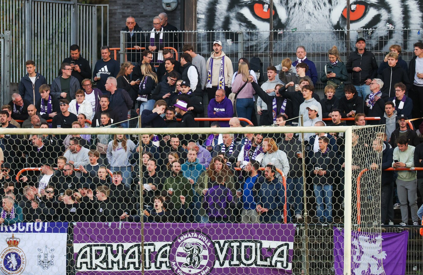 Beerschot-supporters aangevallen door hoornaars op voetbaltribune ...