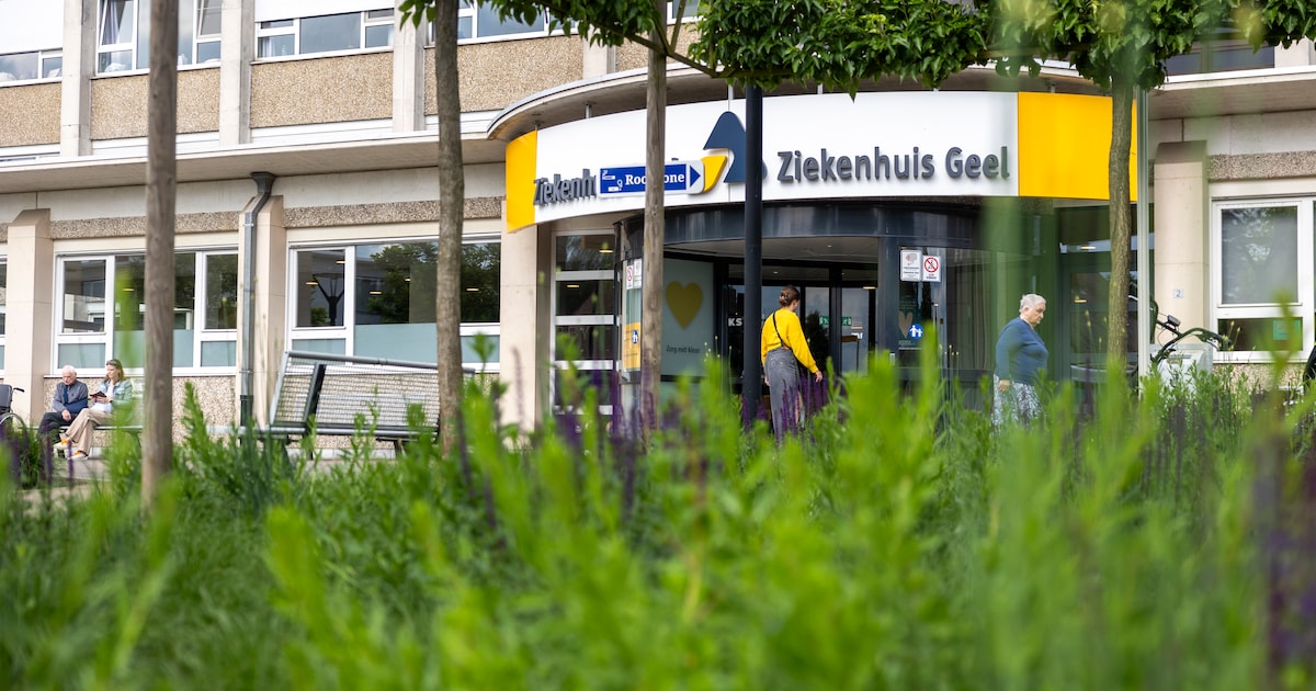 “Die assistent heeft een zuurstoftekort gehad bij de geboorte ...