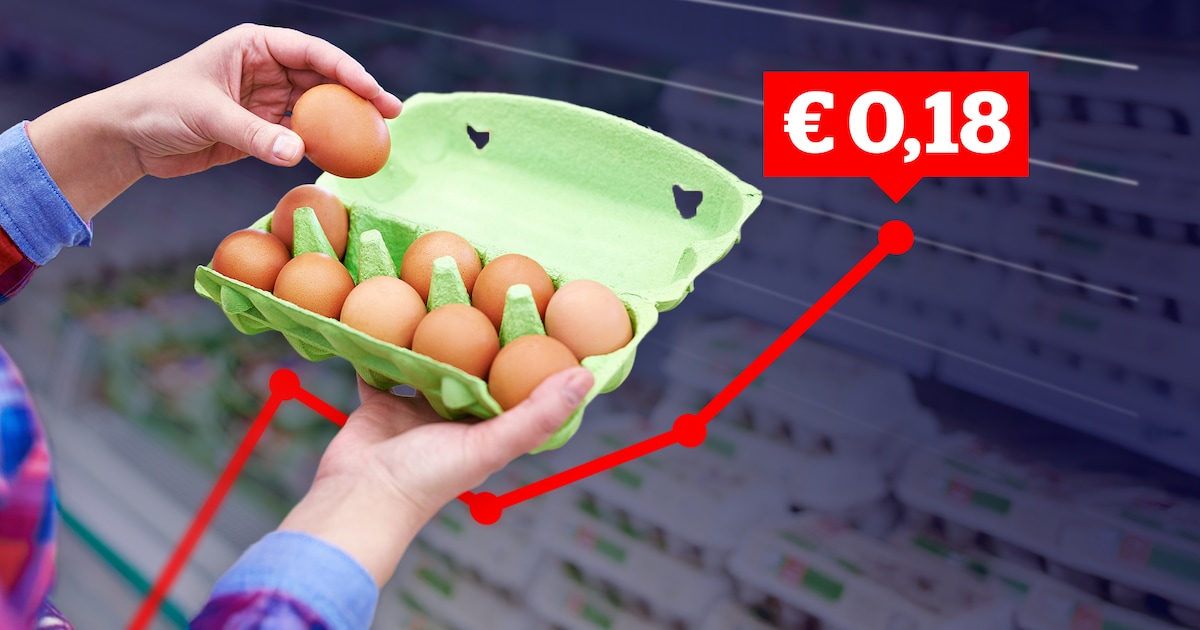 Belgische eierprijs breekt record: zo komt het dat een scharrelei tot ...