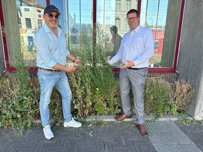 Positief Zottegem lanceert opmerkelijk voorstel: "Laat tuinaannemers ...