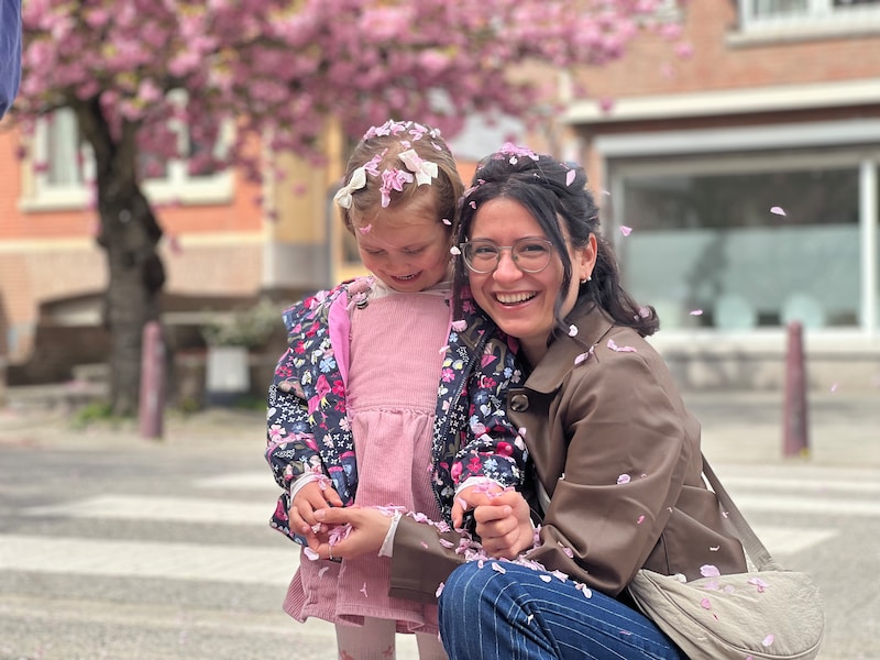 De laatste roze lente? Iconische kerselaars in Leuven moeten wijken ...
