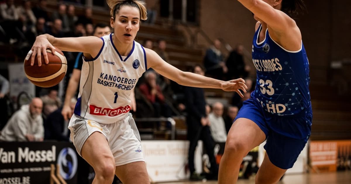 Coach Arvid Diels (Kangoeroes): “We vonden de oplossing niet tegen ...