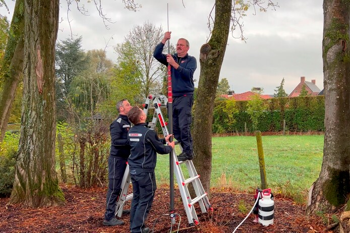 REPORTAGE: Mee op stap met brandweer om Aziatische hoornaars op grote ...