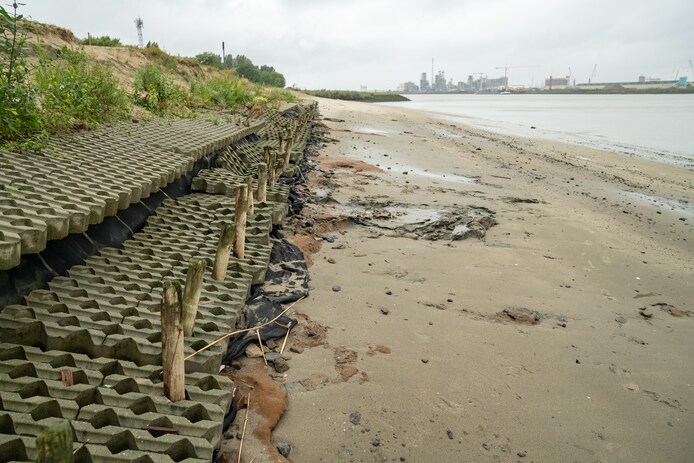 Na jarenlange erosie: ‘Sint-Anneke Plage’ op Linkeroever krijgt voor ...
