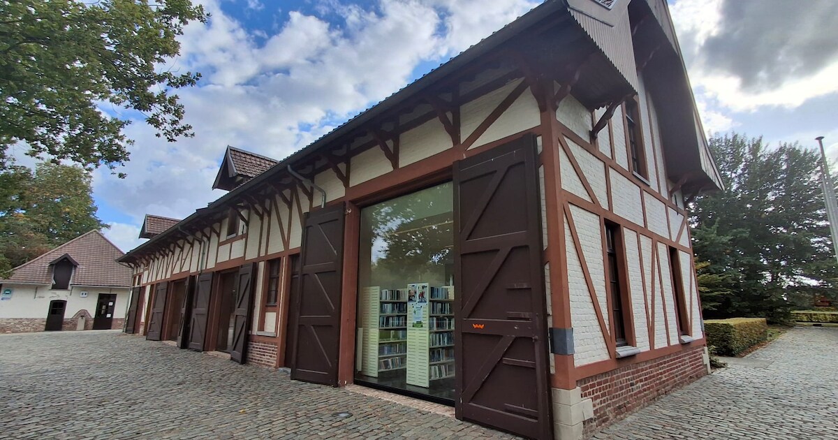 Denk mee over de toekomst van bib De Letterschuur: Zonnebeke zoekt leden voor ...