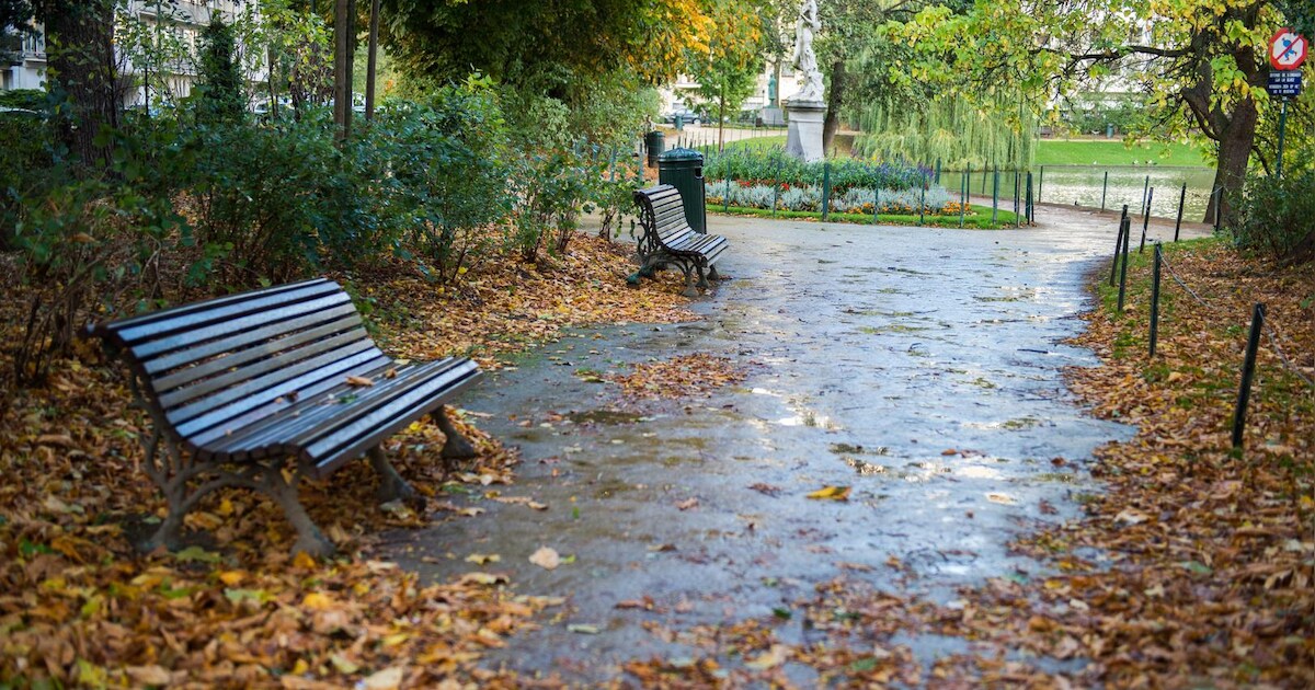 WEERBERICHT. Nieuwe regenzone trekt vanaf kust het land binnen, maxima tot 11 graden ...