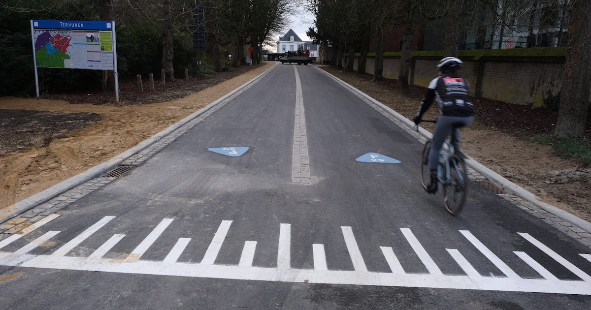 Na aanleg fietssnelweg F29 is Kastanjedreef weer open: Fietsersbond betreurt dat er geen ...