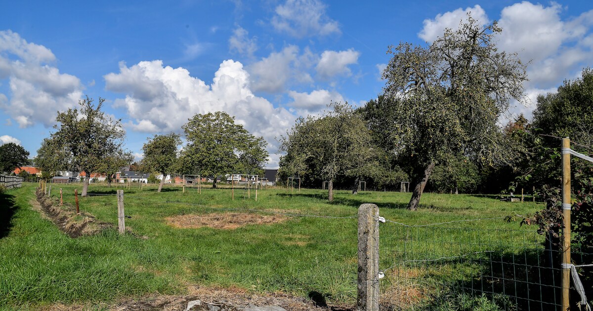 Plan voor gebied Cruyveld definitief goedgekeurd | Lebbeke | HLN.be