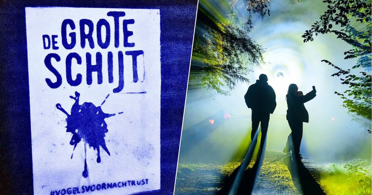 Waarom er plots stickers met ‘De Grote Schijt’ opduiken aan Rivierenhof ...