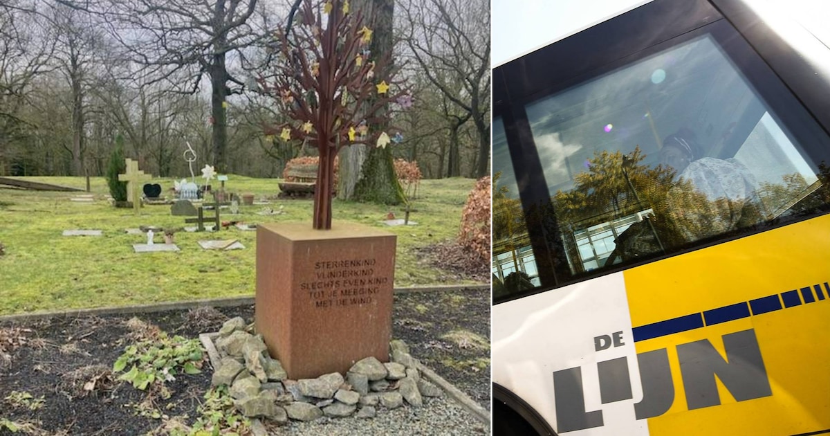 Gemeenteraad Ronse stemt over gratis grafconcessies voor jongeren ...