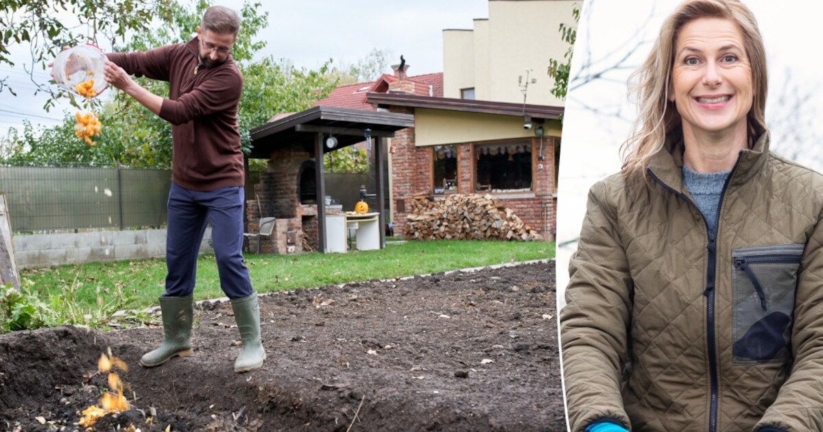 Een composthoop maken, hoe doe je dat? Tuinexperte: “Zomaar alles op elkaar gooien werkt niet ...