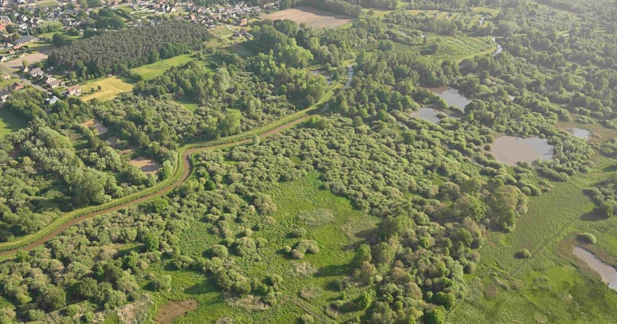 N-VA Westerlo organiseert infomoment over Sigmaplan Grote Nete | Westerlo | HLN.be