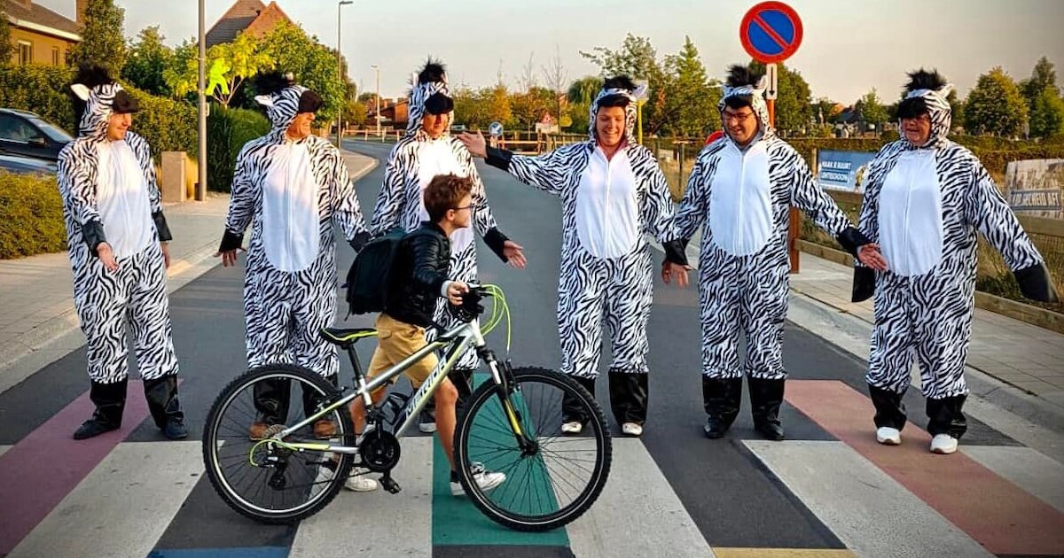 Schepencollege hijst zich in zebrakostuum om verkeersveiligheid in ...