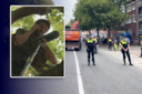 Vijf arrestaties en twee gewonden na protest tegen bomenkap in Deurne ...