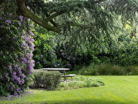 Tuinrangers geven gratis advies voor een 'koele' tuin | Regio | HLN.be