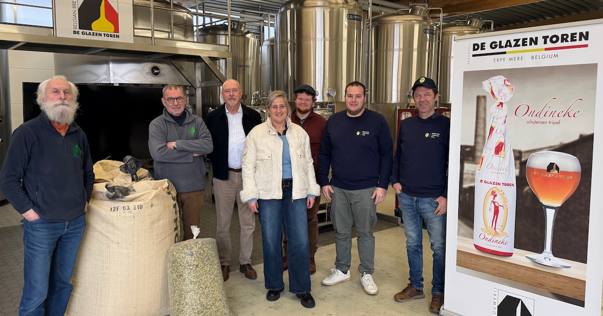 Brouwerij De Glazen Toren brouwt met lokale hop: “Streekproduct geeft ...