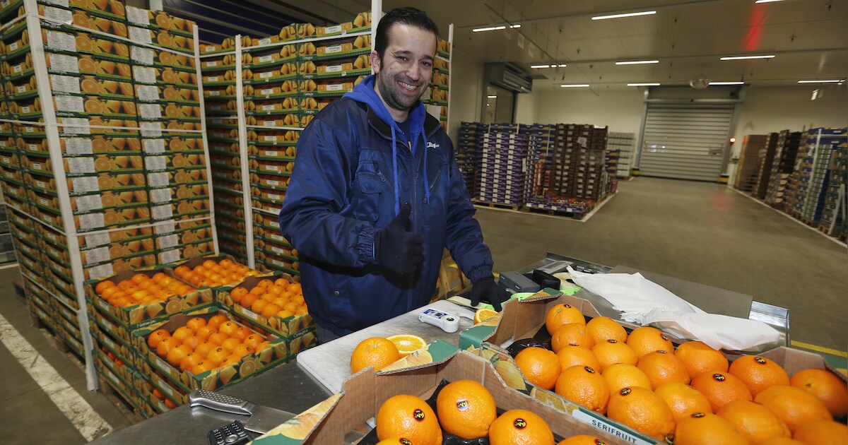 Vernieuwd distributiecentrum Lidl kost 18 miljoen euro | Regio | HLN.be