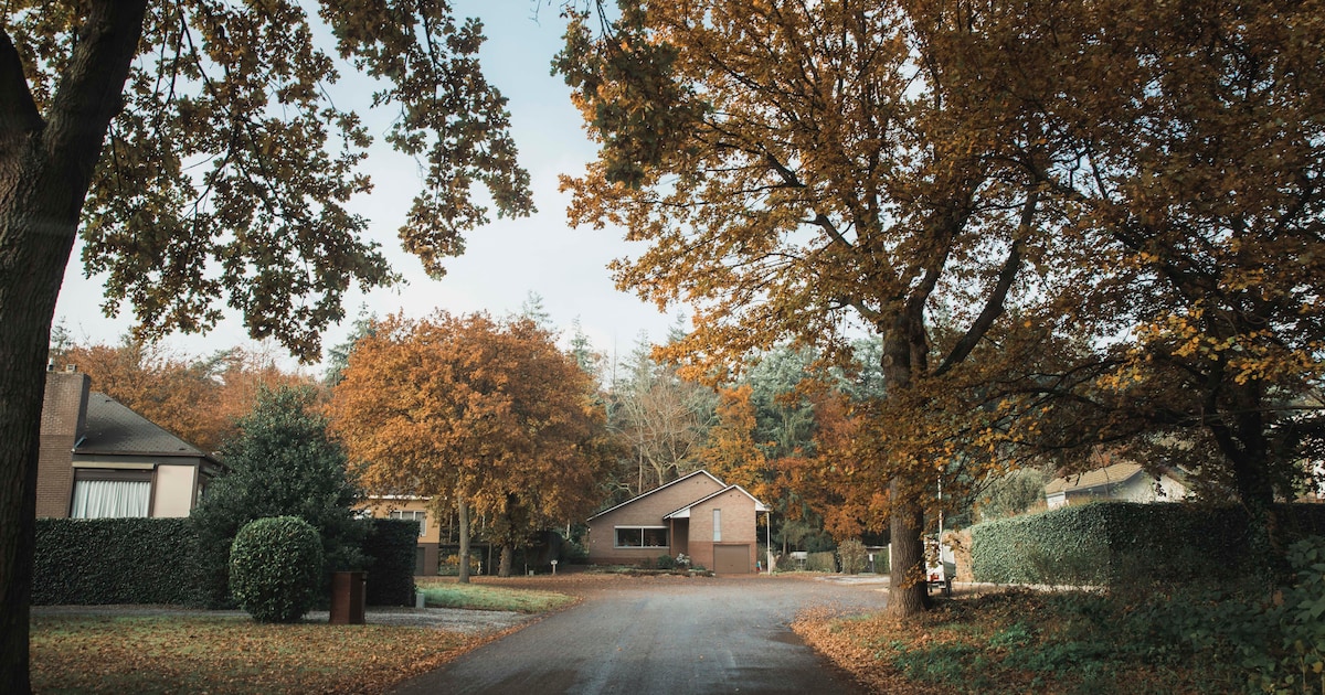Op huizenjacht in... Bolderberg: “Groen vakantiedorp dat mensen zélfs ...