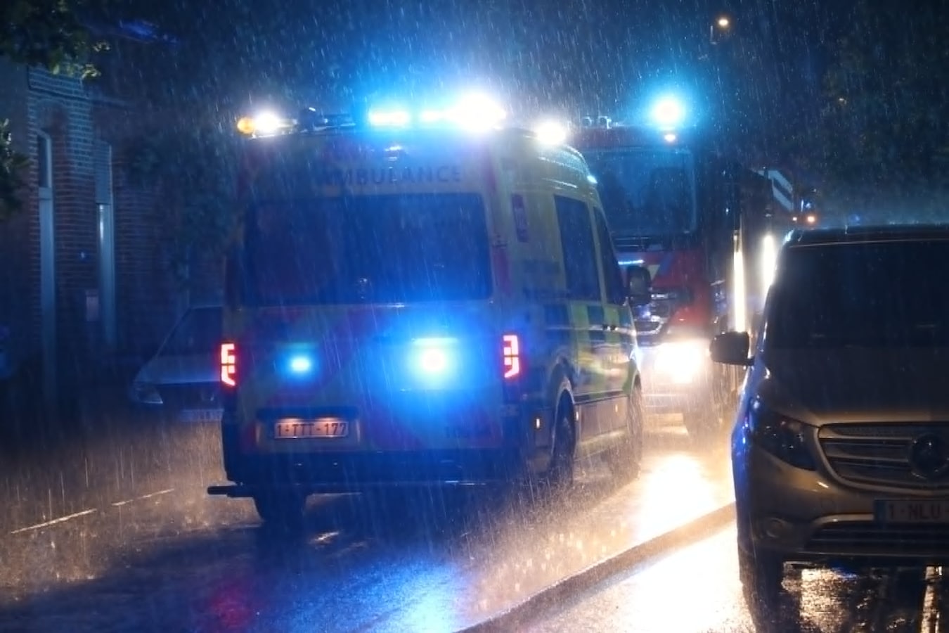 Achterbouw loopt schade op na blikseminslag, twee damherten ongedeerd ...
