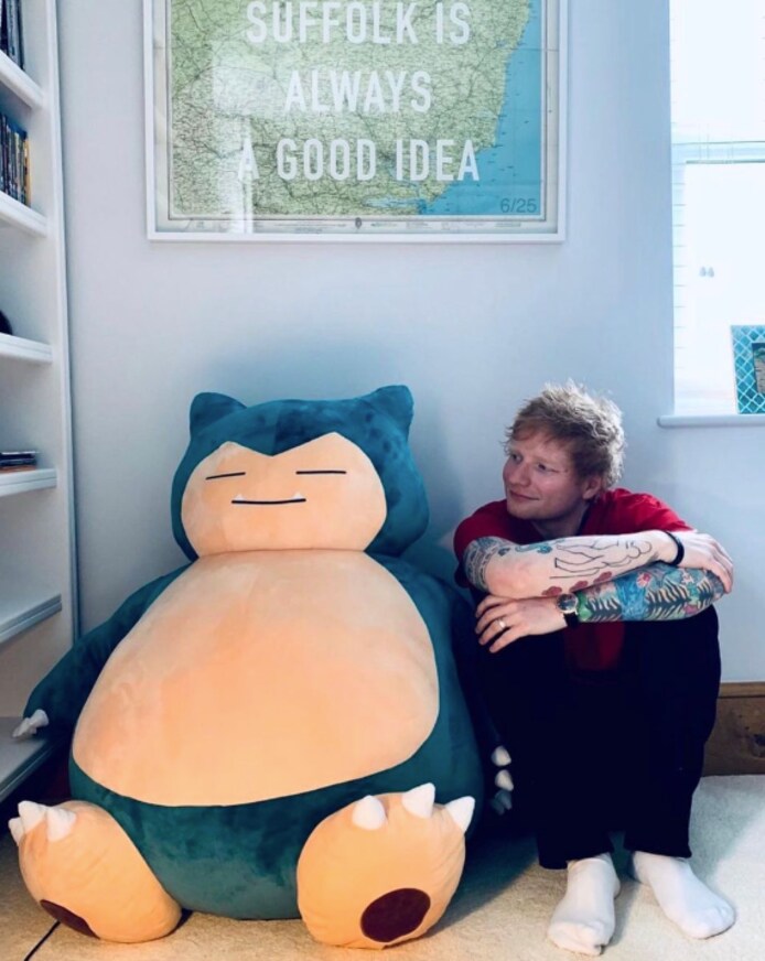 BINNENKIJKEN. Ed Sheeran toont voor het eerst beelden van gigantische ...