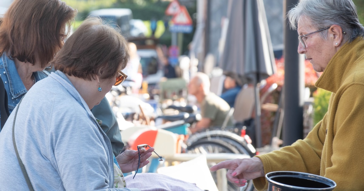 700 standhouders op twaalfde rommel- en brocantemarkt in Bellem ...