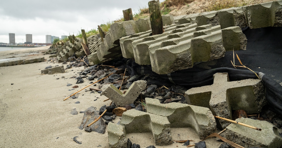 KIJK. Waar is Sint-Anneke Plage naartoe? Strand wordt meegesleurd door ...
