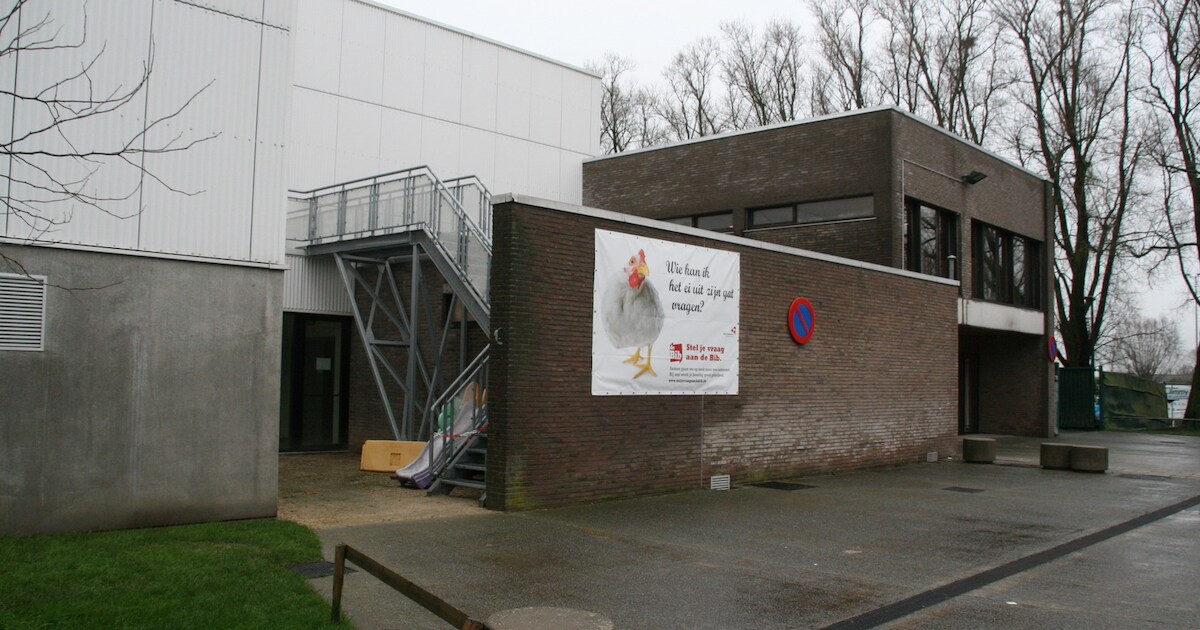 Meisje (14) zakt door koepel sportzaal | Tielt | HLN.be
