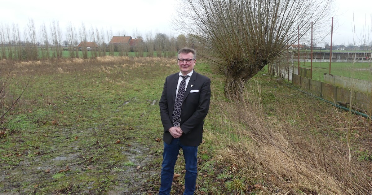 Deinze investeert een half miljoen euro in meer groen: “Een boom voor ...