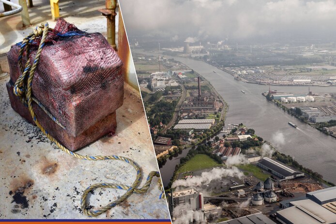 24 kilo cocaïne aangetroffen op Colombiaans kolenschip in Gentse haven ...