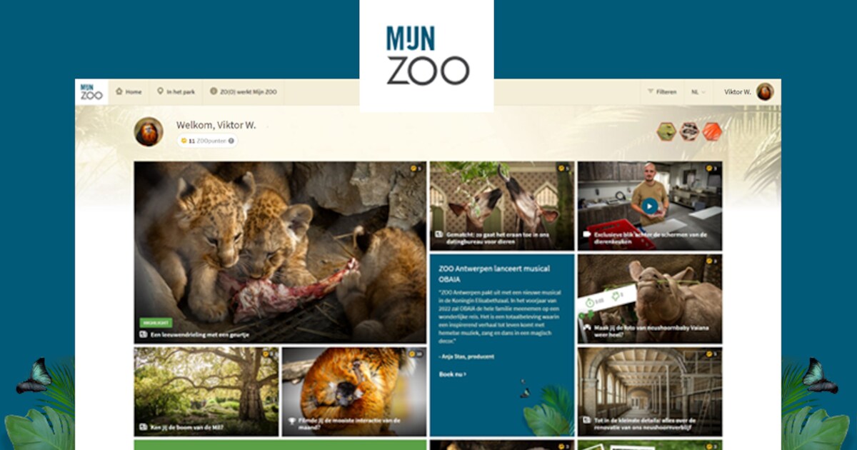 ZOO Antwerpen lanceert digitaal platform ‘Mijn ZOO’: “Van exclusieve ...