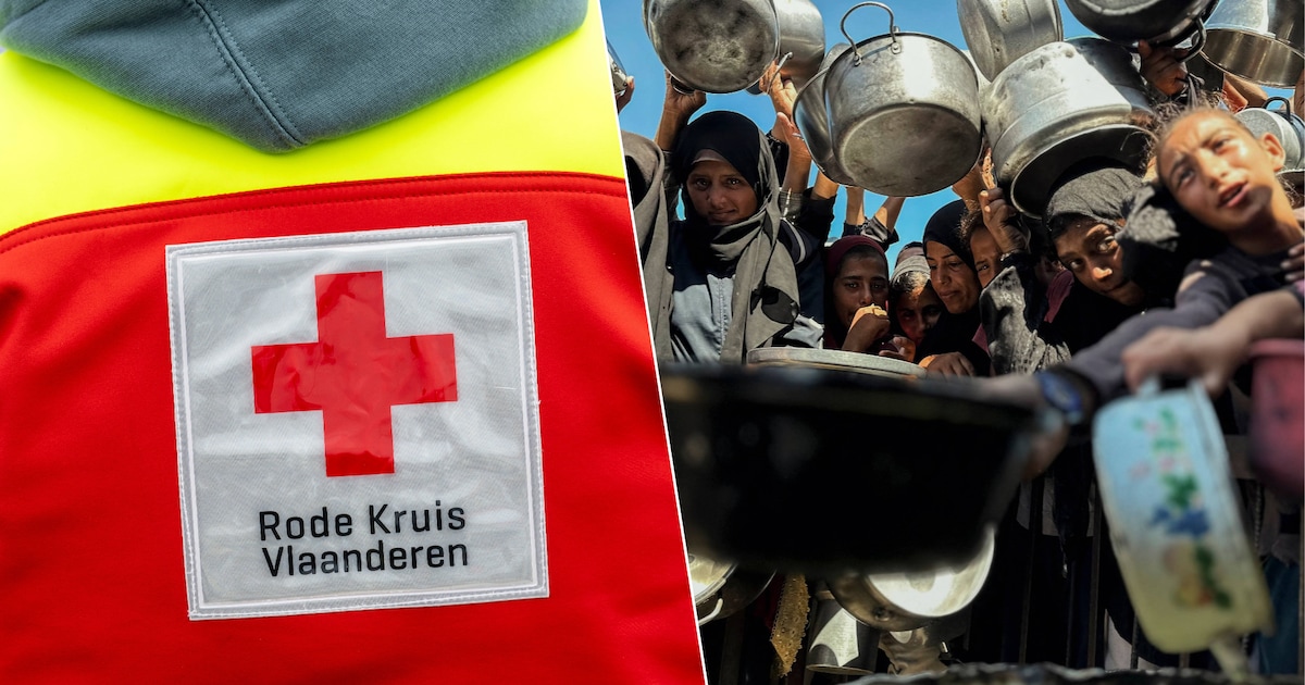 Hasselt schenkt 5.000 euro aan Rode Kruis voor noodhulp in Gaza ...