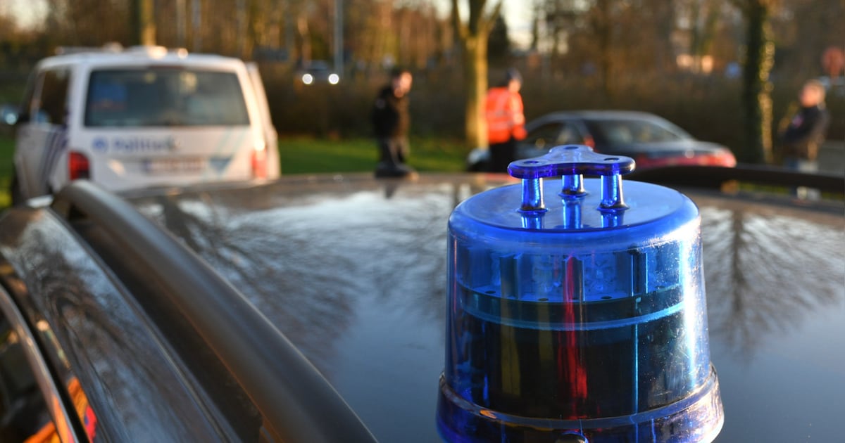 Inbrekers slaan raam aan diggelen, maar schrikken dan van blaffende ...