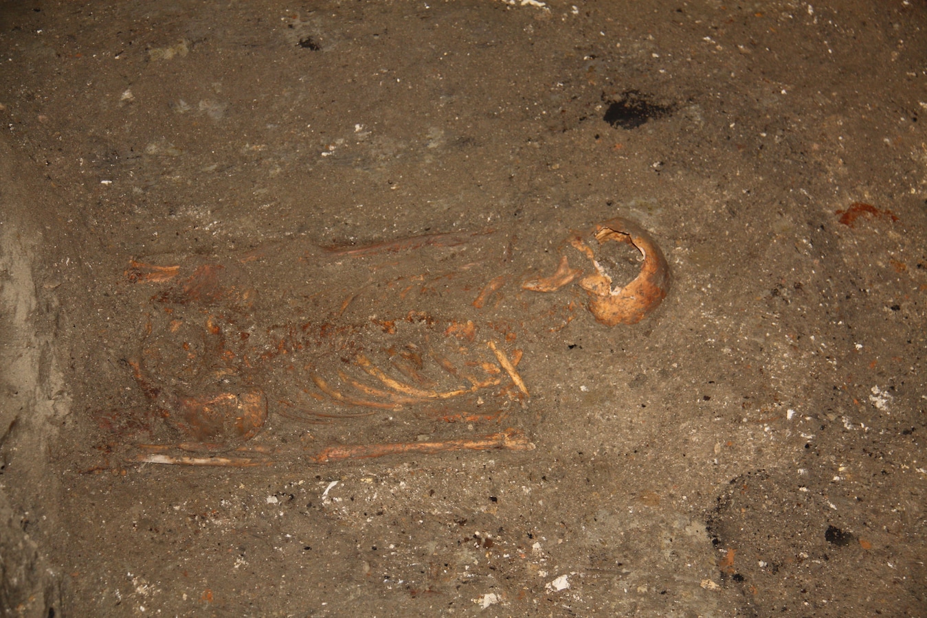 Sint-Niklaastoren geeft geheimen prijs: archeologen leggen ...