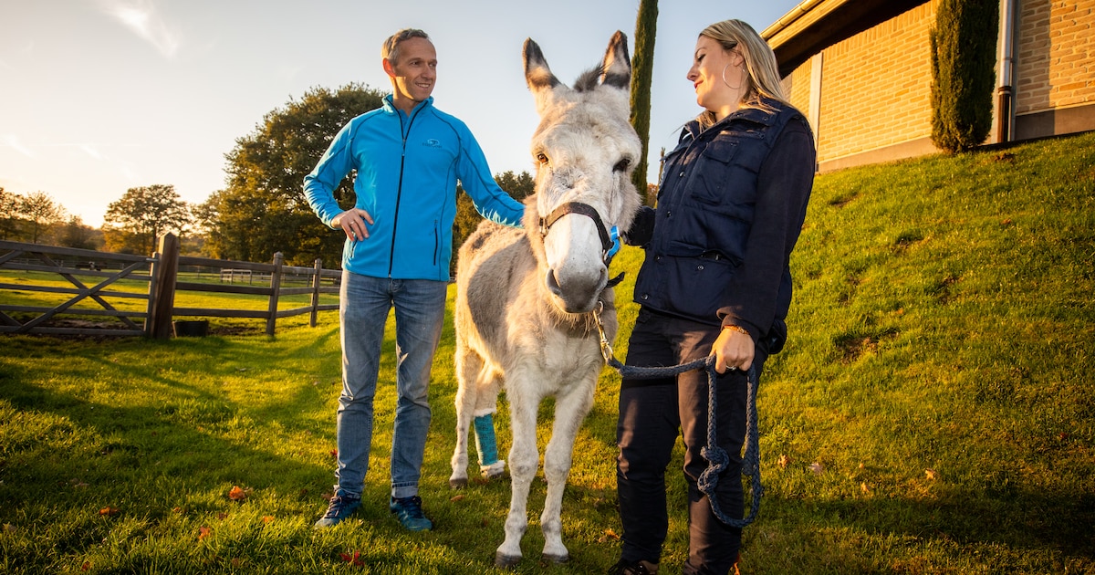 Ezelin Hope succesvol geopereerd en gerevalideerd in Lummense ...