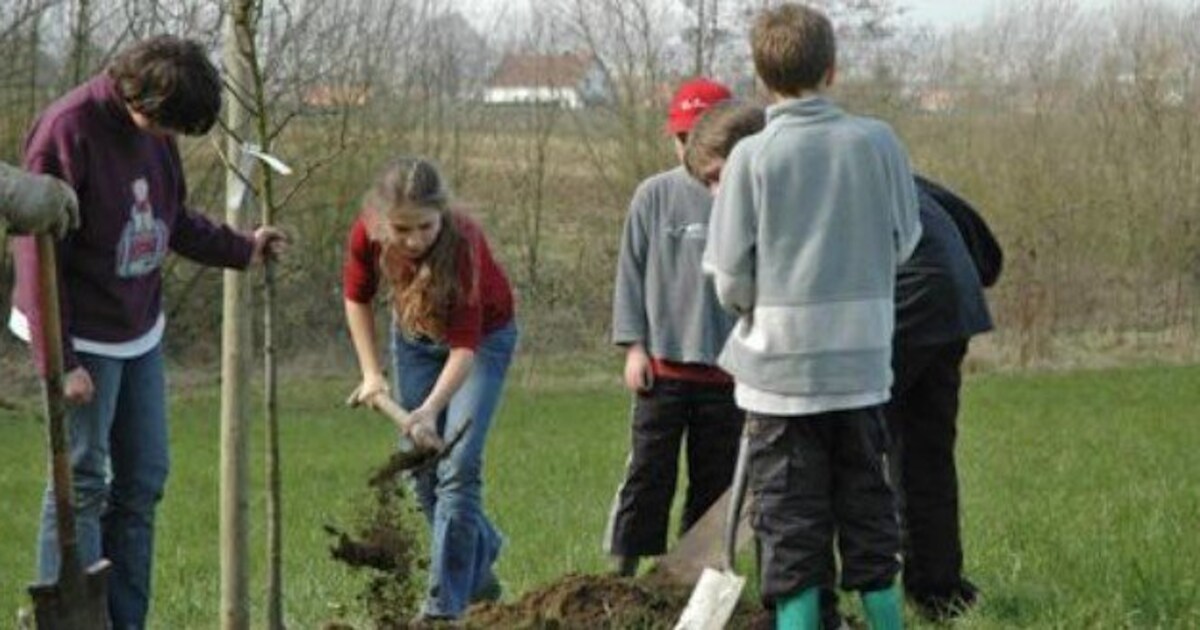 Boomplantactie Regionaal Landschap Vlaamse Ardennen | Sint-Lievens ...