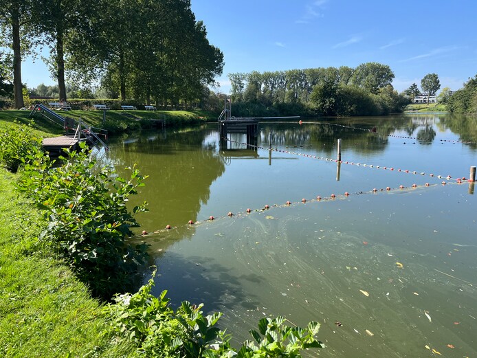 Nog steeds zwemverbod door blauwalgen in Vosselare Put, vzw zit met ...