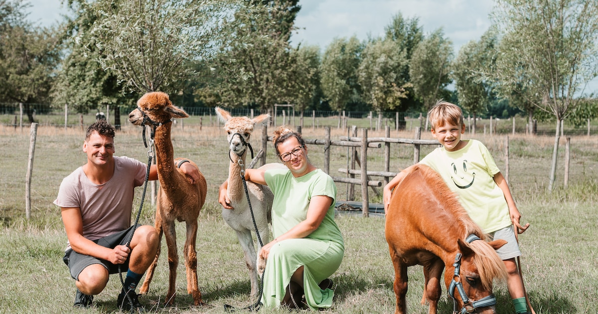 Als kinderboerderij kan Buurderij in Drongen nog niet openen, maar pop ...