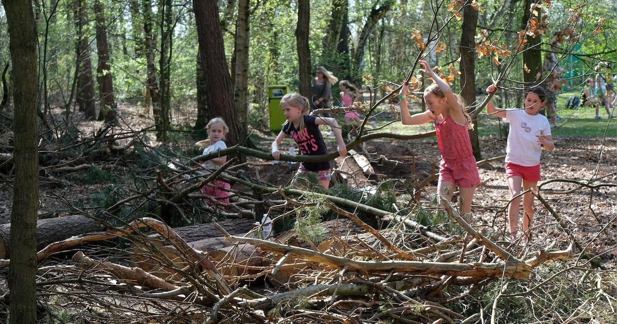 Honderden kinderen bouwen kampen in bos | Malle | HLN.be